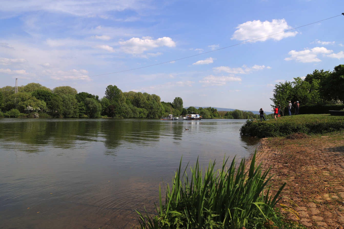 Fähre Neckarhausen - sie ist wieder da - Fotogruppe Edingen-Neckarhausen